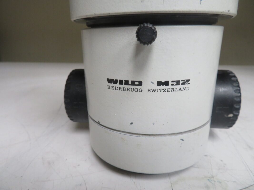 Wild Heerbrugg M3Z Microscope Body w/Binocular Head – Eyepeices, no ...