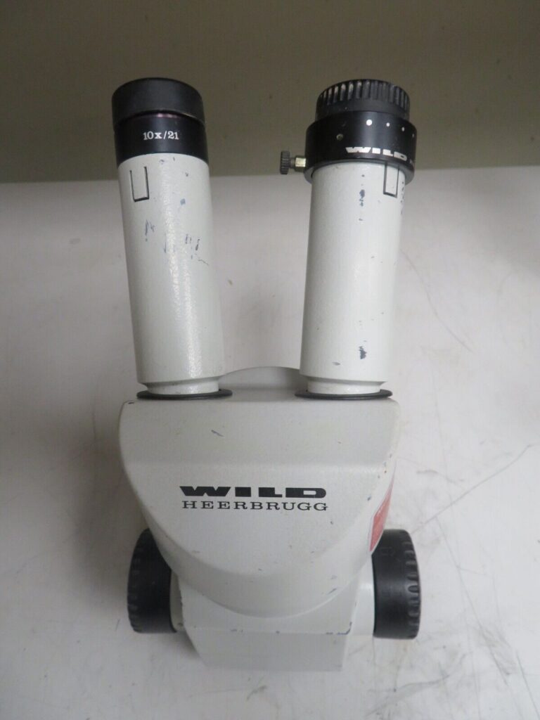 Wild Heerbrugg M3Z Microscope Body w/Binocular Head – Eyepeices, no ...